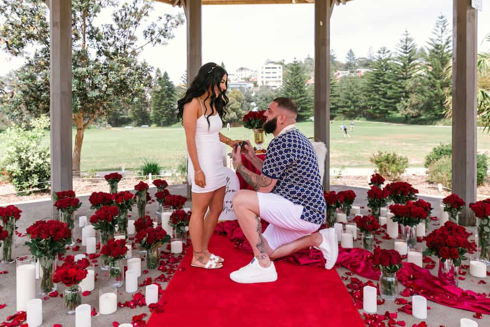 The Perfect Proposal - Our Work - My Proposal Co.