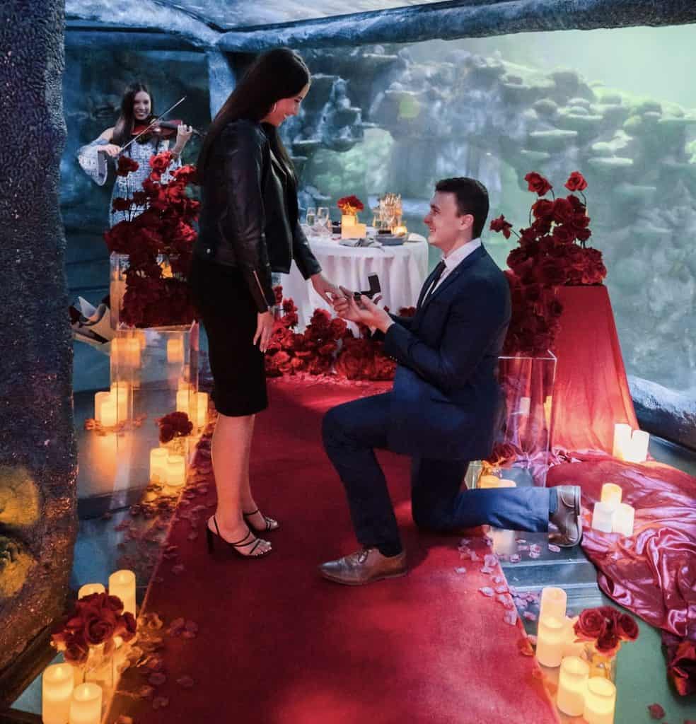 Private Chef Proposal Package - My Proposal Co.